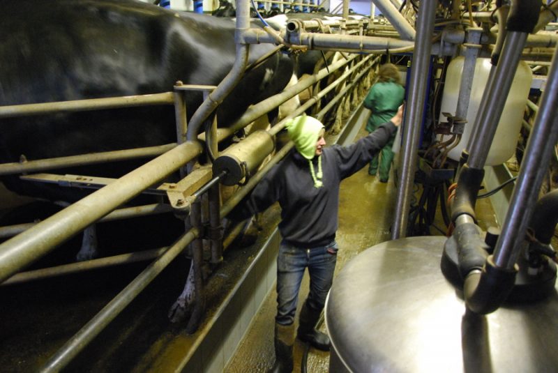 About – Blackmore Farm